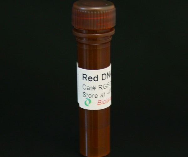 DNA Gel Staining Dyes – Bioland Scientific LLC