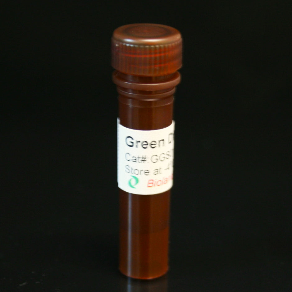 Green DNA Gel Stain (10,000x, 5x1.0 ml) – Bioland Scientific LLC